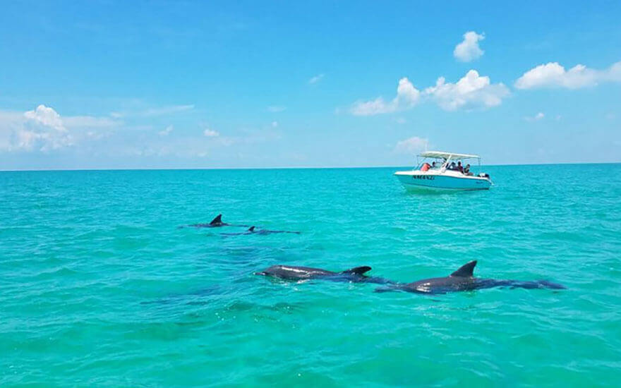 Top 10 Things To Do In Key West - Hijinks